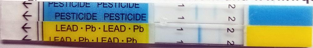 Test Results FAQ | LabTech