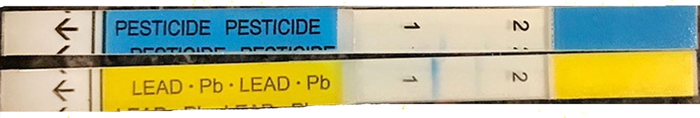 Test Results FAQ | LabTech