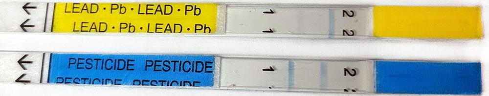 Test Results FAQ | LabTech